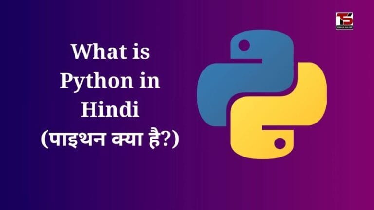 What is Python in Hindi